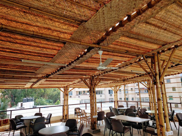 Projects – Page 7 – Bamboopecker