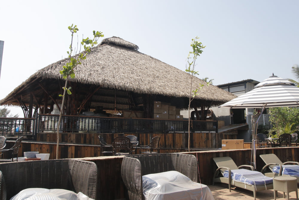 Projects – Page 4 – Bamboopecker