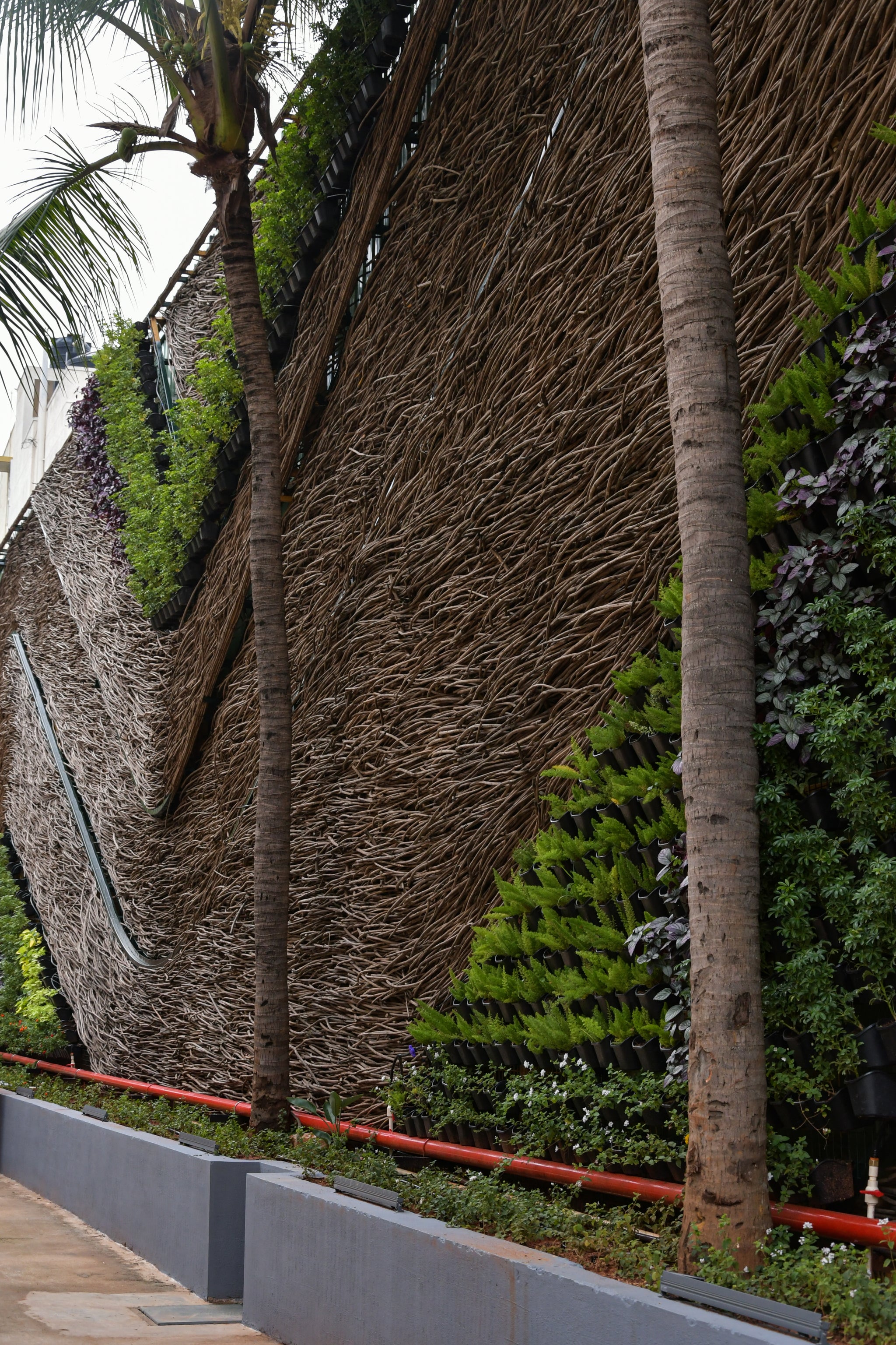 Lantana Cladding and Fencing – Bamboopecker