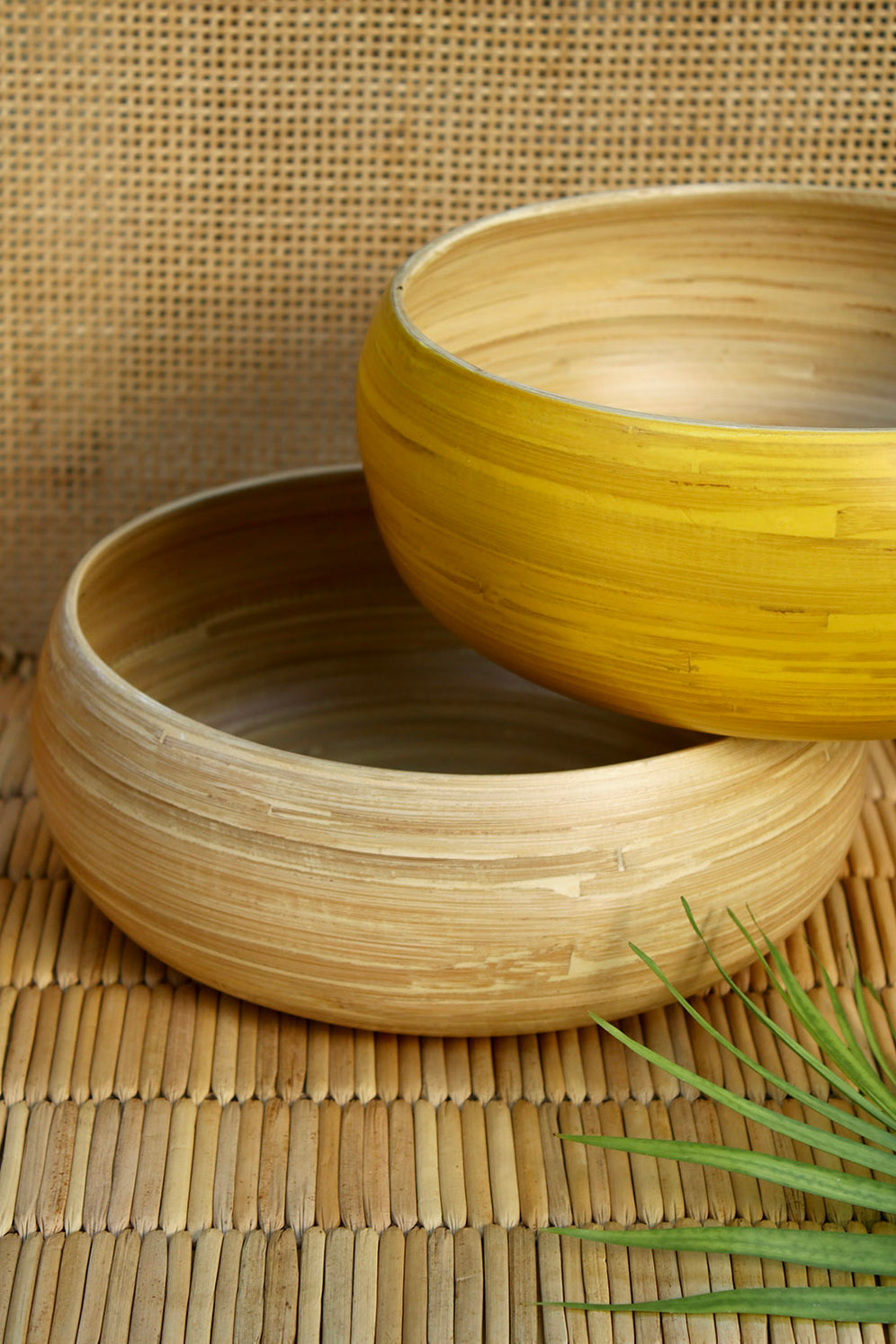 Sustainable home and lifestyle brand - in bamboo beyond imagination ...
